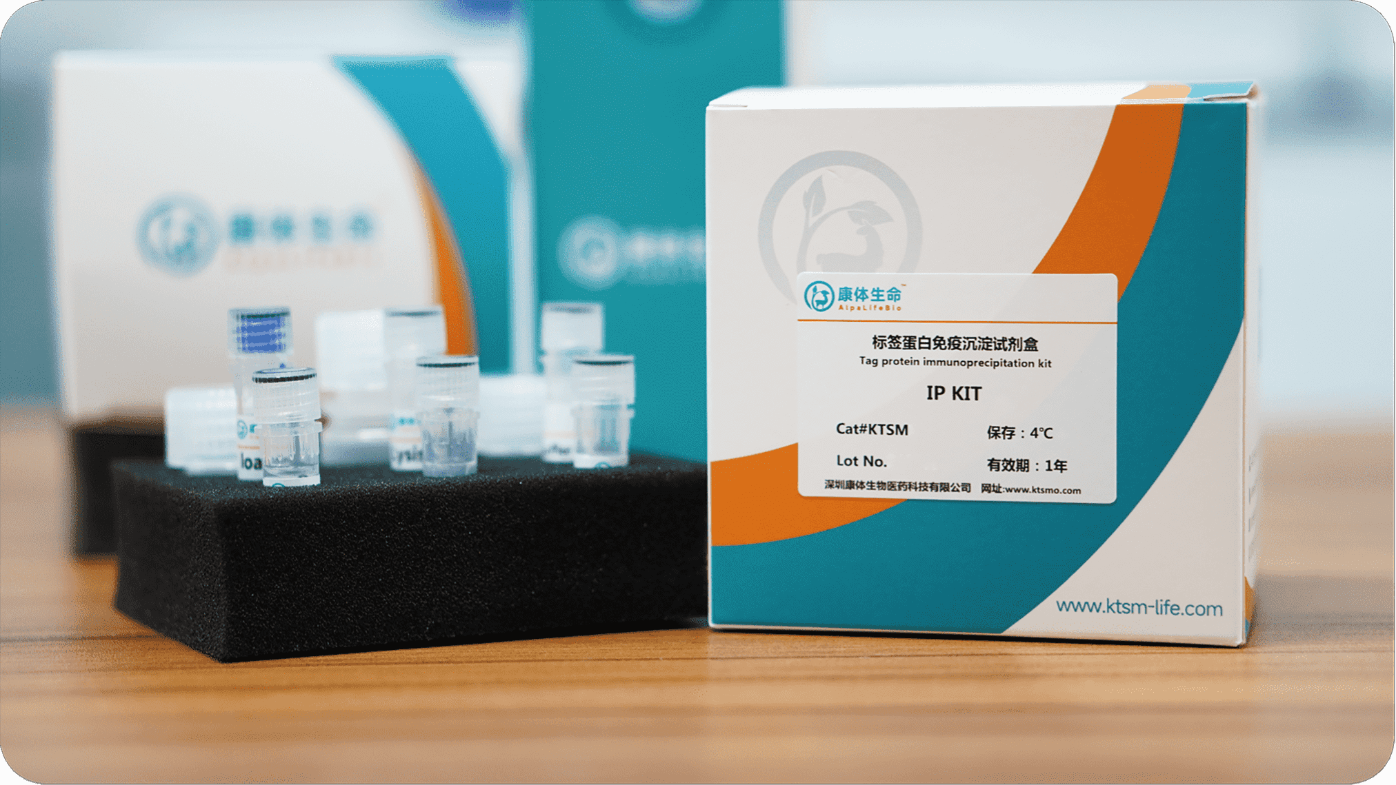 VHH纳米抗体天然文库筛选_GFP Beads_感受态细胞