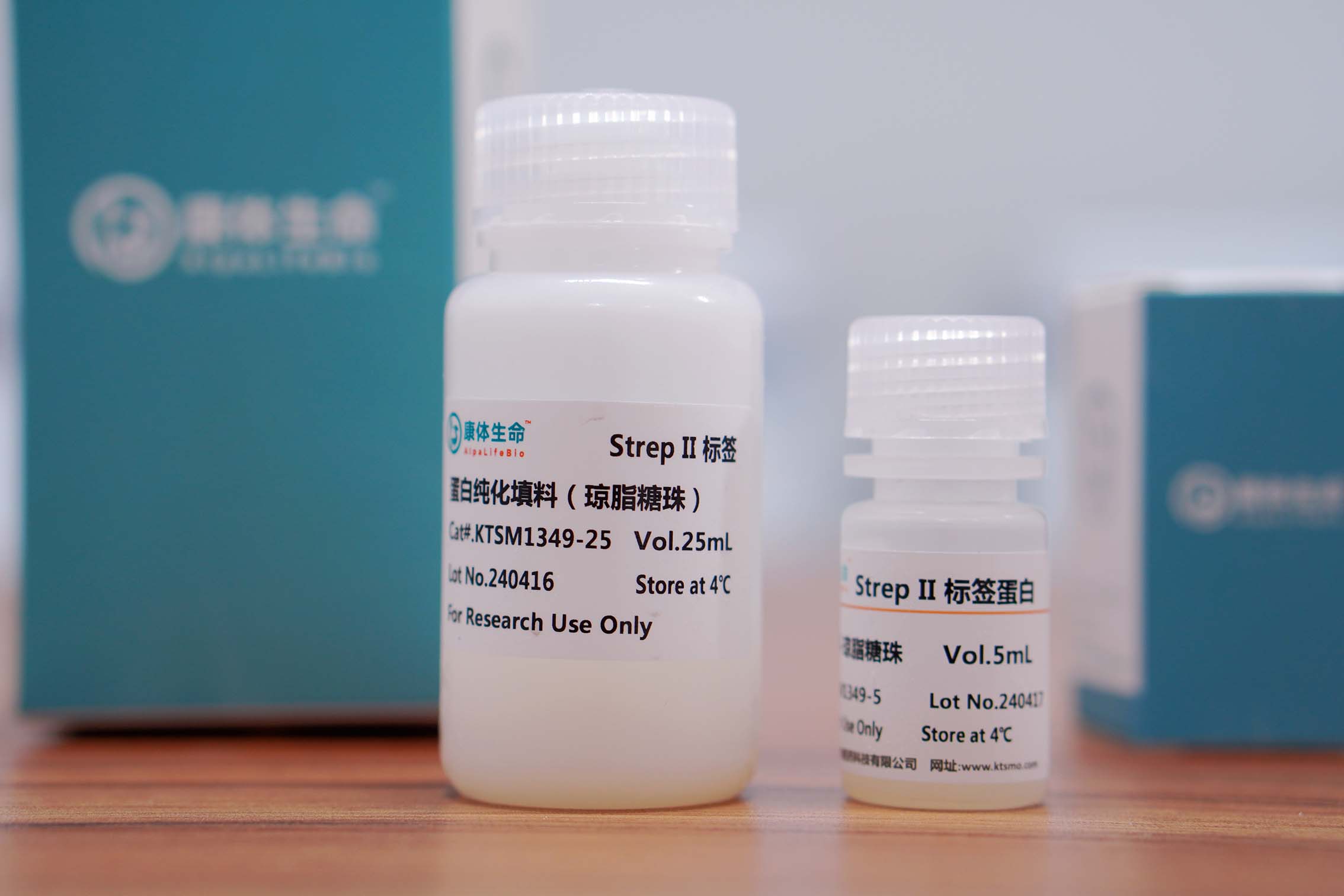 VHH纳米抗体天然文库筛选_GFP Beads_感受态细胞